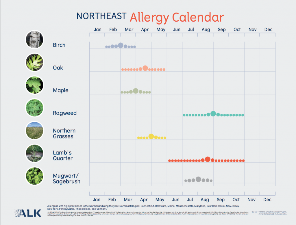 Northeast Allergen Calendar - Colden Ear, Nose, Throat and Allergy